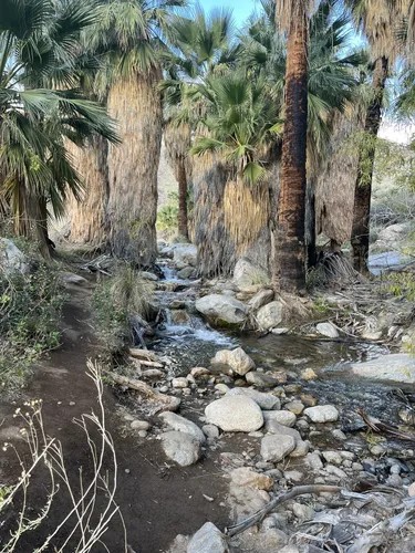 Best Hikes and Trails in Cahuilla Native American Land - Indian Canyons ...