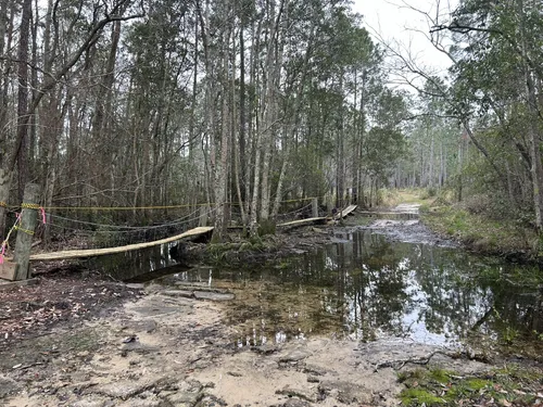 Best Hikes and Trails in Graham Creek Nature Preserve | AllTrails