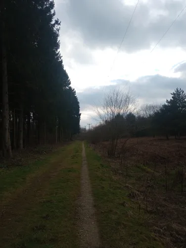 10 Best Easy Trails in Howardian Hills National Landscape (AONB ...