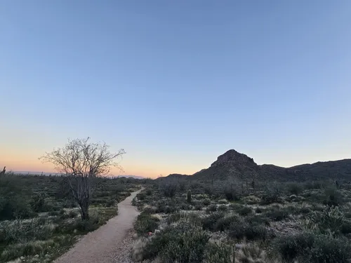 Best Hard Trails in Waddell | AllTrails