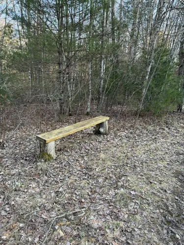 Best Hikes and Trails in Rehoboth | AllTrails