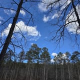 Dam Road, Issaqueena, Rocky and Collarbone Trail, South Carolina ...