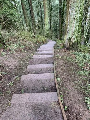 Best Moderate Trails in Powell Butte Nature Park | AllTrails