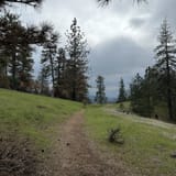 Frog Lake Loop Trail, California - 592 Reviews, Map | AllTrails