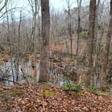 Mallows Bay Hiking Trail, Maryland - 62 Reviews, Map | AllTrails