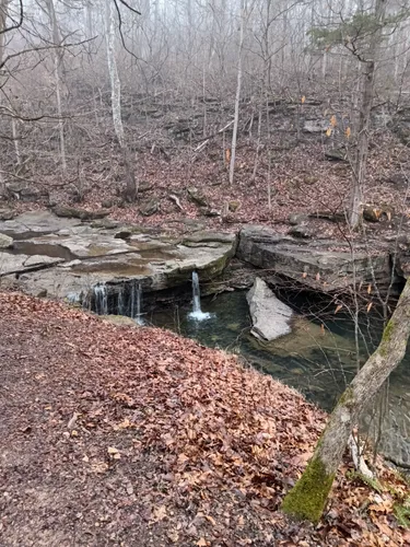 Best Hikes and Trails in Nine Penny Branch Nature Preserve | AllTrails