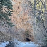 Columbine Trail, Colorado - 1,896 Reviews, Map | AllTrails