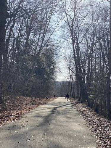 Best Hikes and Trails in Springbank Park | AllTrails