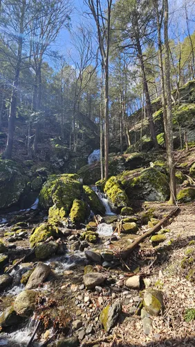 10 Best Moderate Trails in Mount Toby State Forest | AllTrails