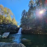 Savage Falls, Tennessee - 716 Reviews, Map | AllTrails