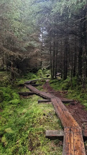 Best Camping Trails in Rathdrum | AllTrails