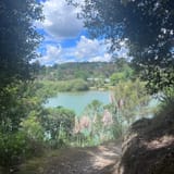 Waitangi to Haruru Falls Walk, Northland, New Zealand - 286 Reviews ...