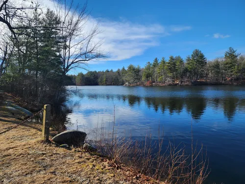 Best Hikes and Trails in Sutton State Forest | AllTrails