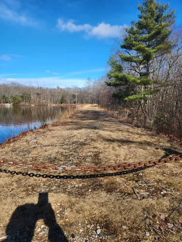 Best Hikes and Trails in Sutton State Forest | AllTrails