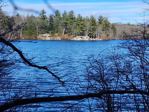 Best Hikes and Trails in Sutton State Forest | AllTrails