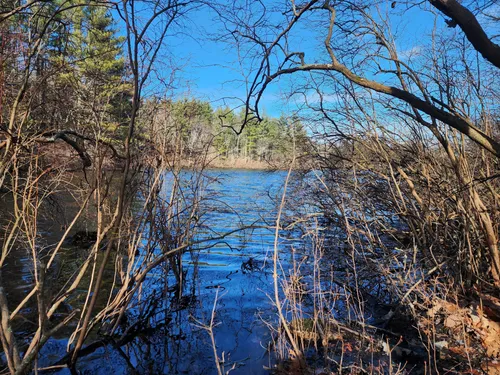 Best Hikes and Trails in Sutton State Forest | AllTrails