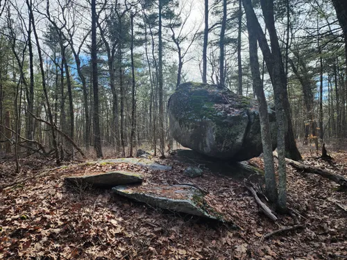 Best Hikes and Trails in Sutton State Forest | AllTrails
