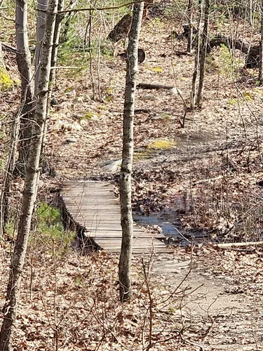 Best Hikes and Trails in Sutton State Forest | AllTrails