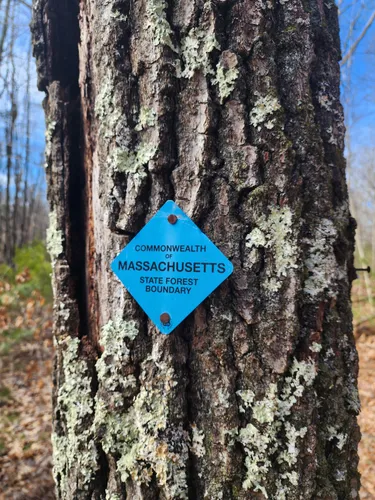 Best Hikes and Trails in Sutton State Forest | AllTrails