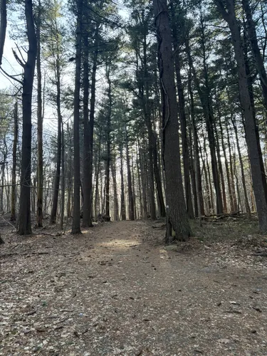 Best Hikes and Trails in Racebrook Tract | AllTrails
