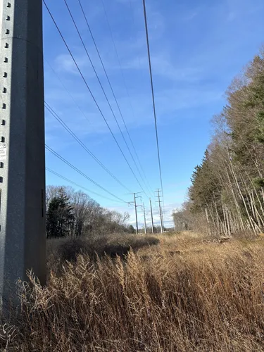 Best Hikes and Trails in Racebrook Tract | AllTrails