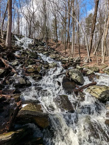 Best Waterfall Trails in Worcester | AllTrails