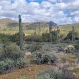 Apache Springs via Bentley Mine Road, Arizona - 23 Reviews, Map | AllTrails