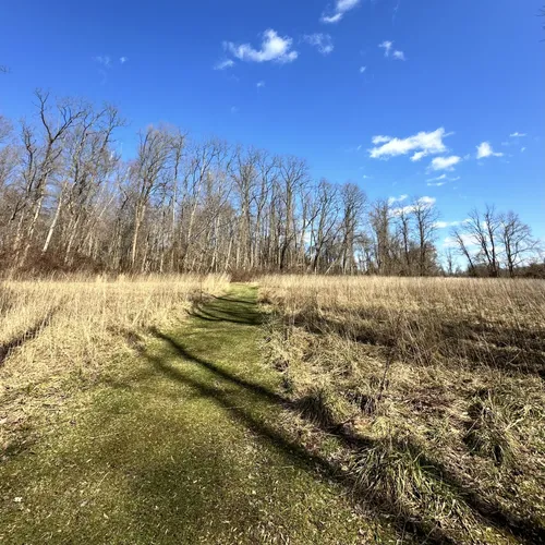 Best Walking Trails in Coventry Woods Park | AllTrails