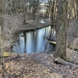 Shenipsit Lake Trail, Connecticut - 322 Reviews, Map | AllTrails