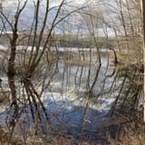 Shenipsit Lake Trail, Connecticut - 322 Reviews, Map | AllTrails