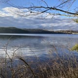 Shenipsit Lake Trail, Connecticut - 322 Reviews, Map | AllTrails