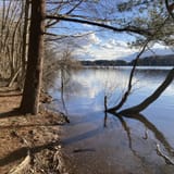 Shenipsit Lake Trail, Connecticut - 322 Reviews, Map | AllTrails