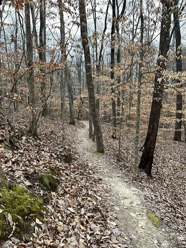 Best Hikes and Trails in Mount Tabor Park | AllTrails