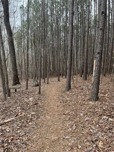 Best Hikes and Trails in Mount Tabor Park | AllTrails