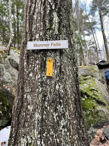 Best Views Trails in Miller State Park | AllTrails