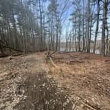 Washington Valley Park Trail, New Jersey - 648 Reviews, Map | AllTrails