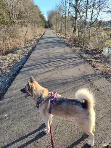 Best Hikes and Trails in Knox and Kane Rail Trail | AllTrails