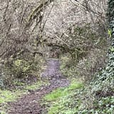 Waterloo County Park Trail, Oregon - 47 Reviews, Map | AllTrails