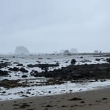 Sand Point Trail, Washington - 320 Reviews, Map | AllTrails