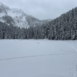 Lanham Lake Trail, Washington - 383 Reviews, Map | AllTrails