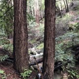 Stream, East Ridge, and Canyon Loop, California - 1,808 Reviews, Map ...