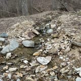 Struble Trail, Pennsylvania - 1,085 Reviews, Map | AllTrails