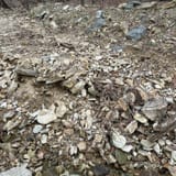 Struble Trail, Pennsylvania - 1,085 Reviews, Map | AllTrails