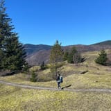 Hummocks Trail, Washington - 979 Reviews, Map | AllTrails