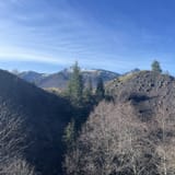 Hummocks Trail, Washington - 979 Reviews, Map | AllTrails