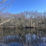 Hummocks Trail, Washington - 979 Reviews, Map | AllTrails