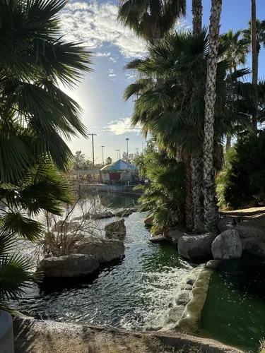 Best Kid Friendly Trails in Gilbert | AllTrails