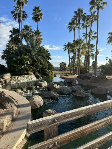 Best Kid Friendly Trails in Gilbert | AllTrails