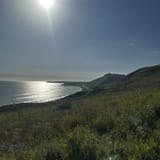 Corral Canyon Loop, California - 1,686 Reviews, Map | AllTrails