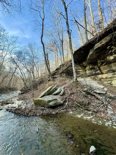 Best Forest Trails in Joelton | AllTrails